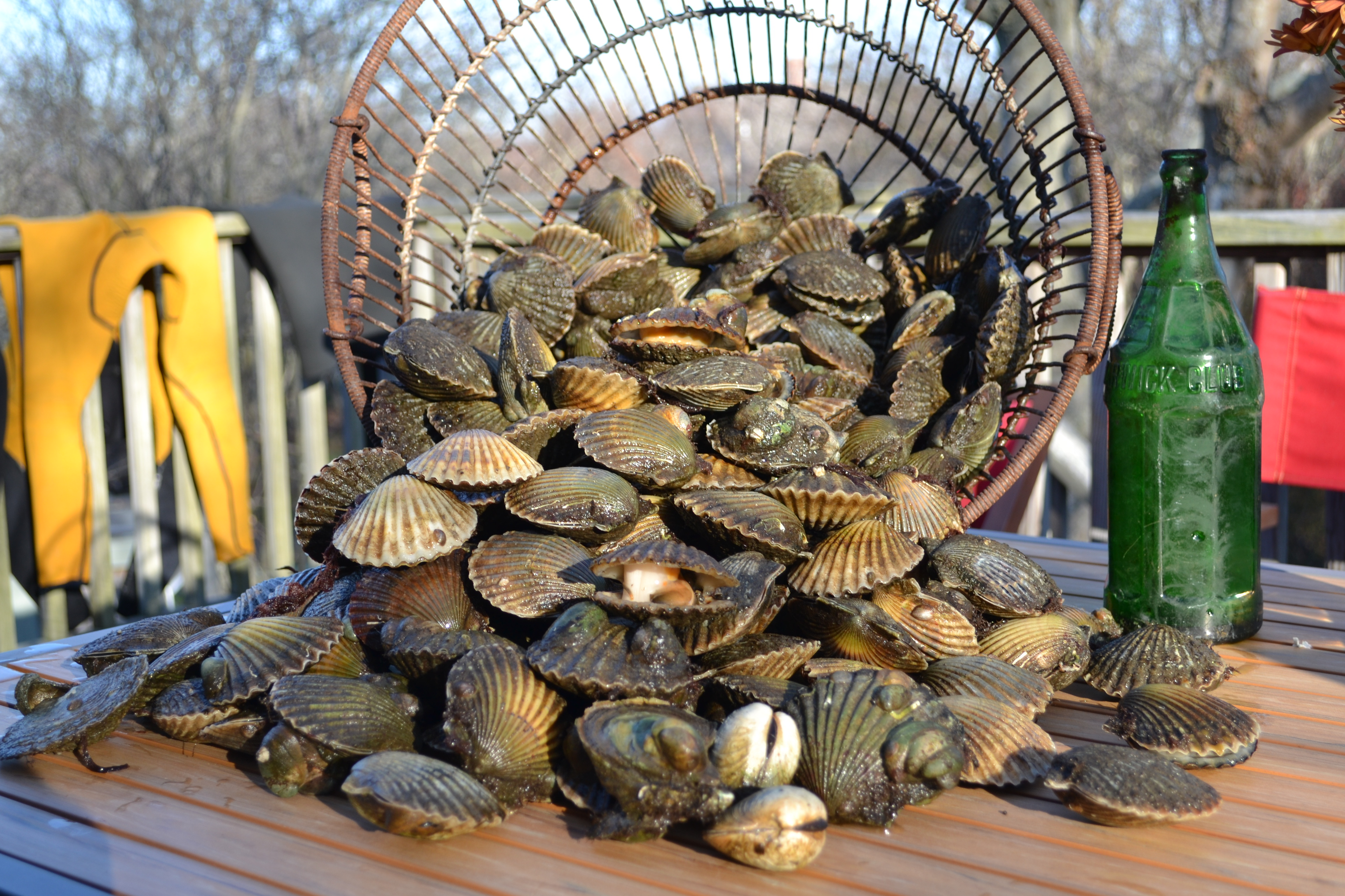 Block Island Hotel Reservations :: Activities and Events